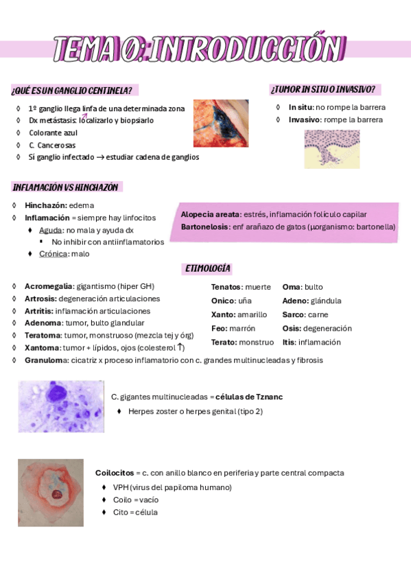 RESUMENES-AP-TEMA-0-Y-1.pdf