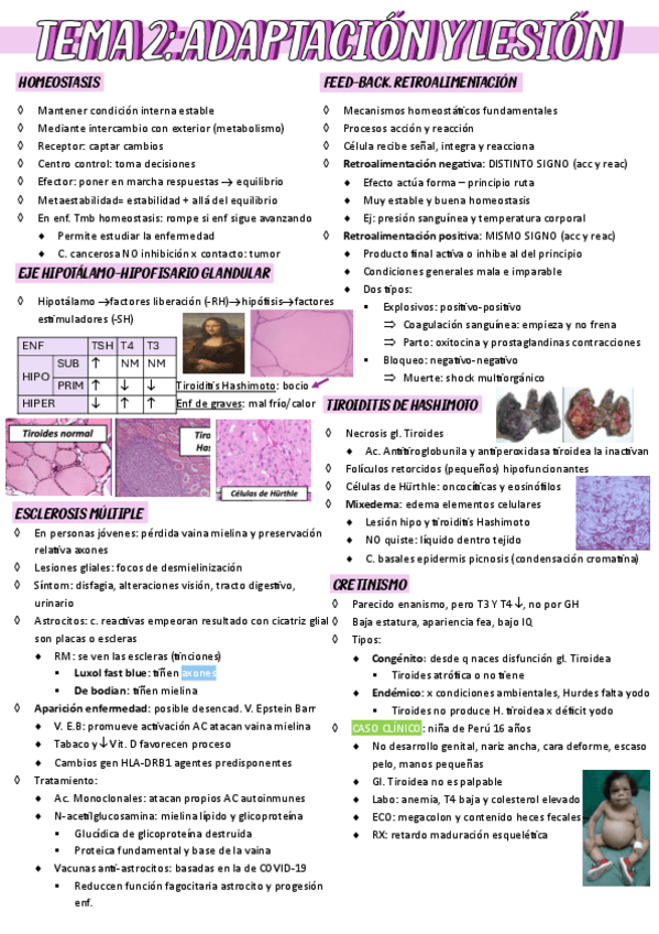 RESUMEN-AP-TEMA-2.pdf