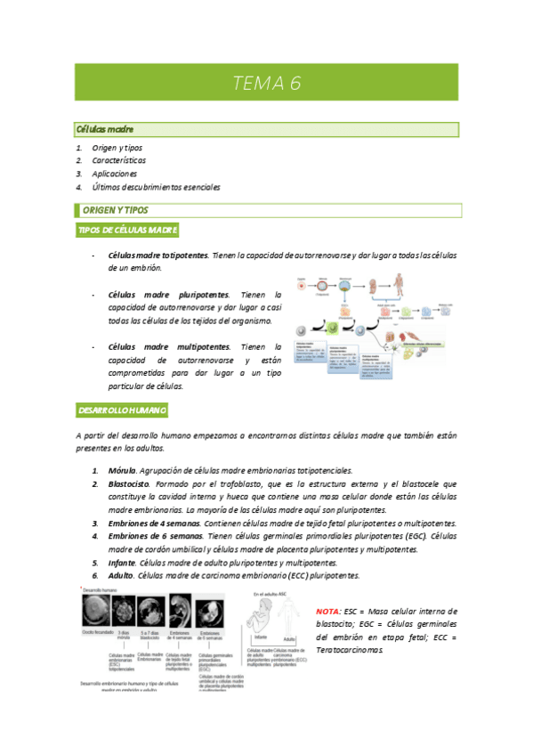 TEMA-6-BIOCELL.pdf