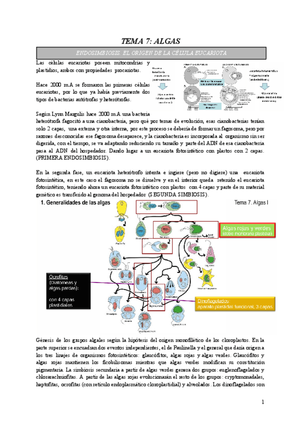 TEMA-7-ALGAS.pdf