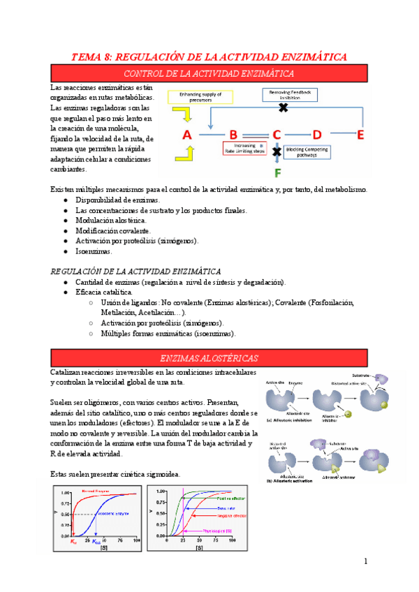 TEMA-8-REGULACION-DE-LA-ACTIVIDAD-ENZIMATICA.pdf