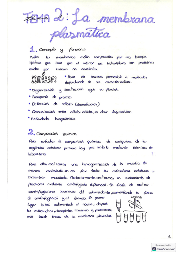 TEMA-2-LA-MEMBRANA-PLASMATICA-muy-completos.pdf