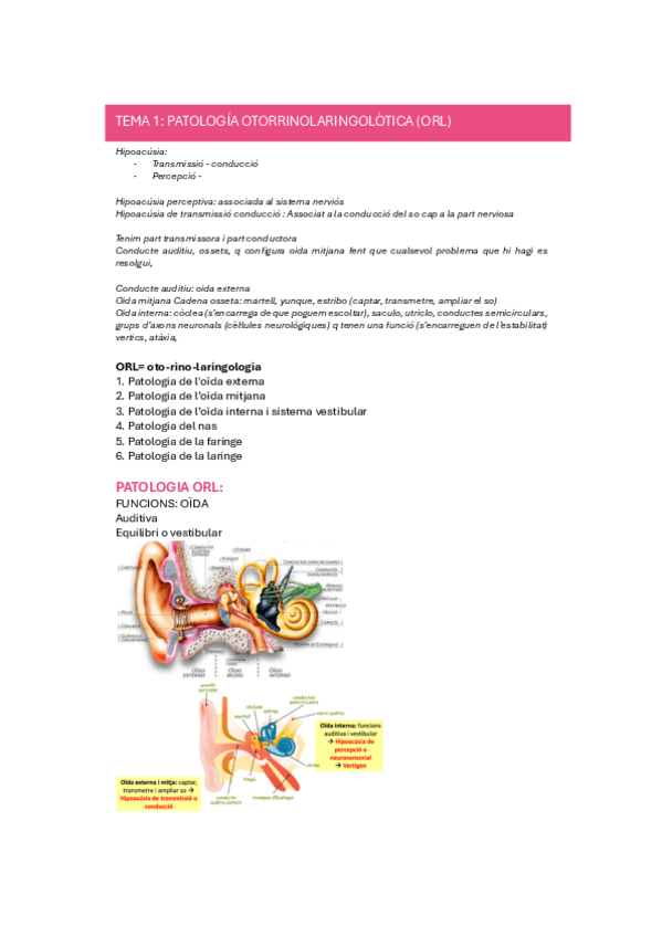 Resum-Otorrino-i-Oftalmo.pdf