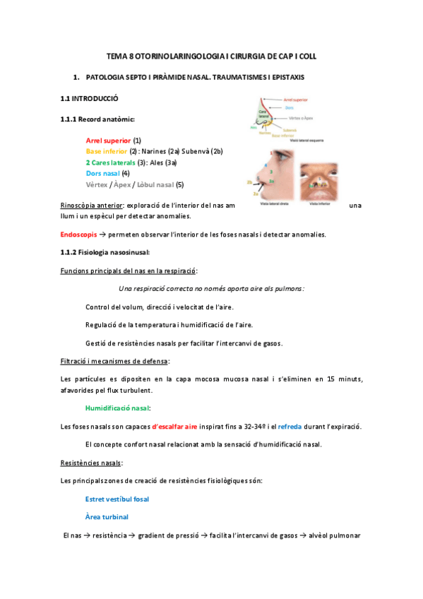 tema-8-Otorinolaringologia-i-cirurgia-de-cap-i-coll.pdf