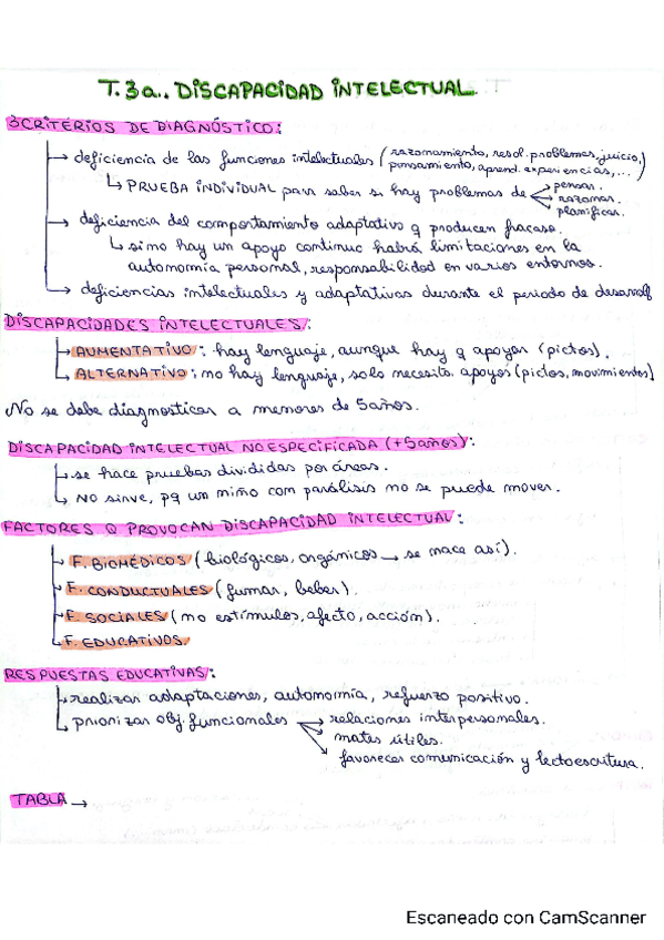 RESUMEN-T.3-NEAE.pdf