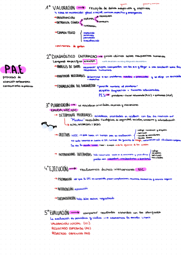 PAE-esquema.pdf