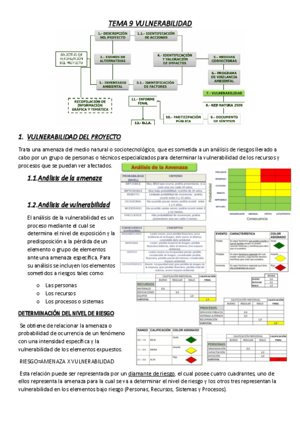 TEMA-9-VULNERABILIDAD.pdf