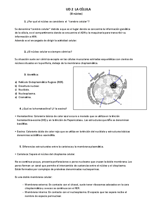 La-celula.pdf