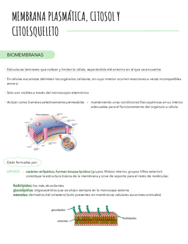 Bio-tema-7-membrana-plasmatica-citosol-y-citoesqueleto.pdf