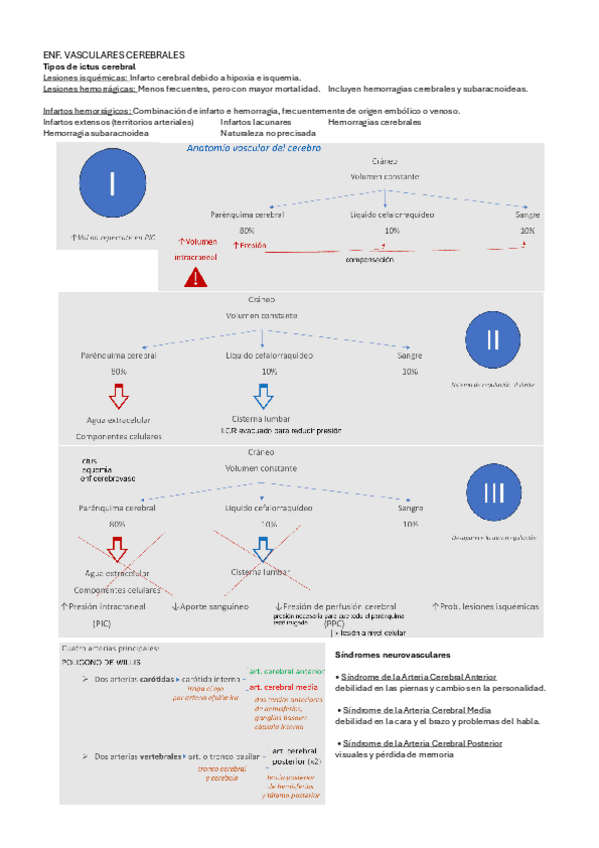 T1-FUNDAMENTOS-DEL-SN.pdf