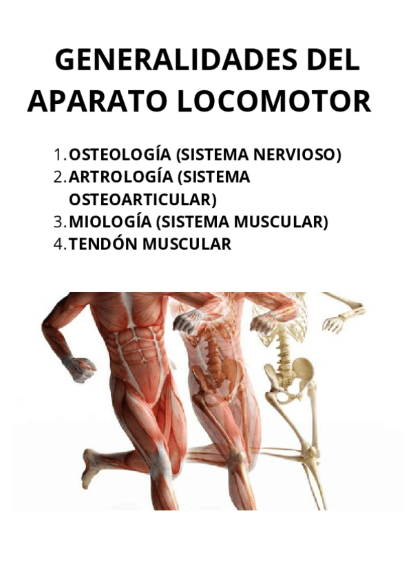ANATOMIA-GENERALIDADES-DEL-APARATO-LOCOMOTOR.pdf
