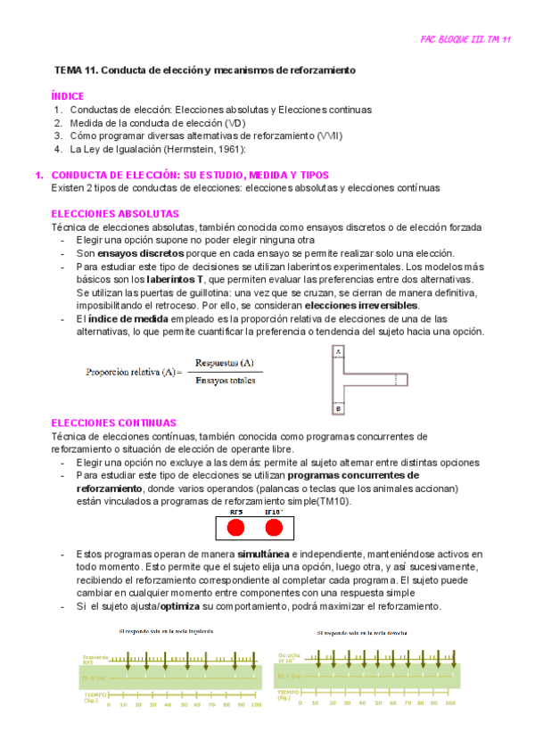 TEMA-11.-FAC.pdf