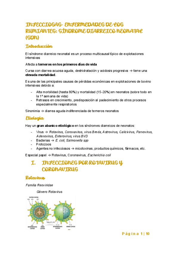 Sindrome-diarreico-neonatal.pdf