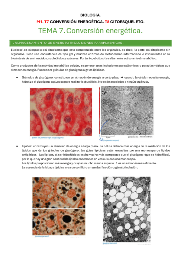 BIOLOGIA-M3.pdf