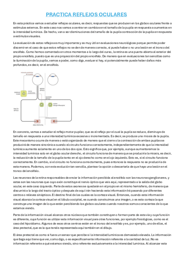 PRACTICA-REFLEJOS-OCULARES.pdf