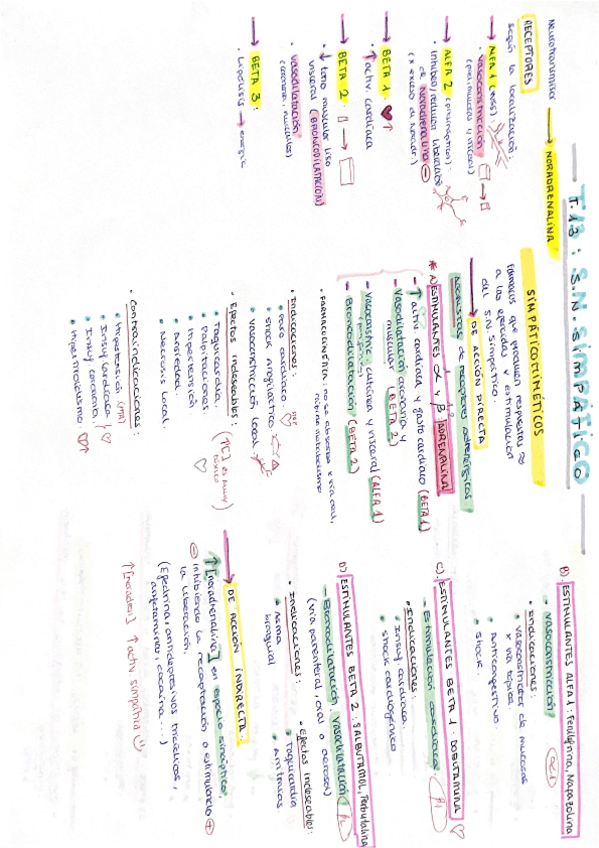 Farma-T13.pdf