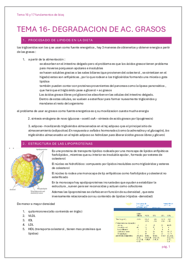 tema-16-y-17-completo-acidos-grasos-y-aa.pdf