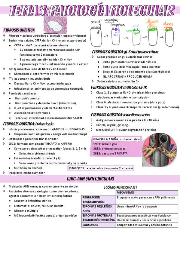RESUMEN-TEMA-3-AP.pdf