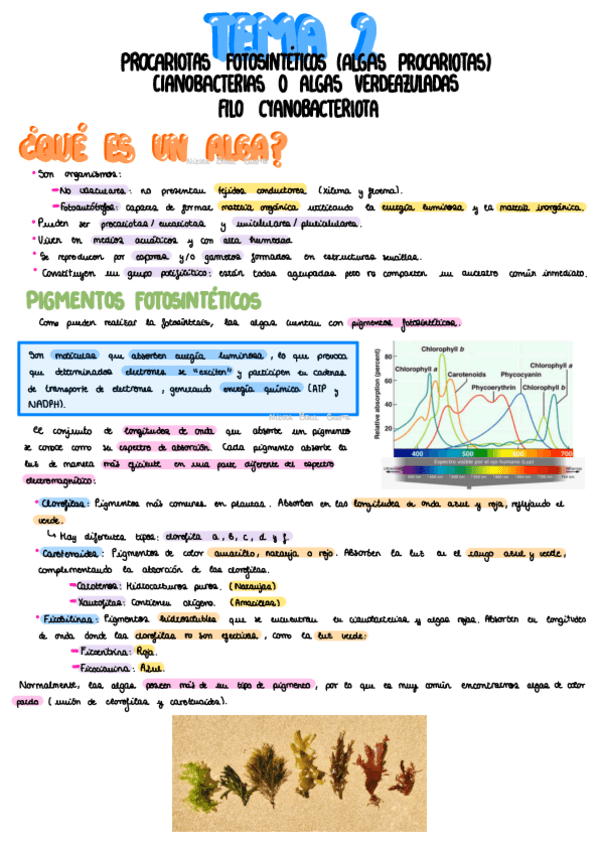 Tema-2-Algas-Procariotas.pdf