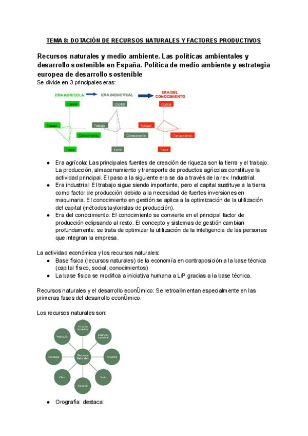 TEMA-8-Estructura.pdf