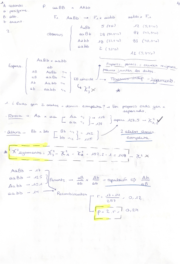 Ejercicios-T4-resueltos-a-mano.pdf