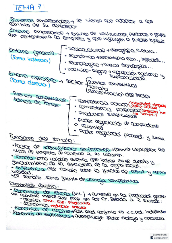 TEMA-7-IEE-resumido.pdf