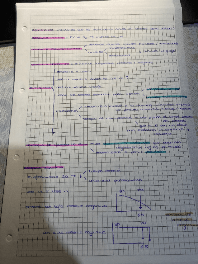 Esquemas-final-de-memoria-con-manual.pdf