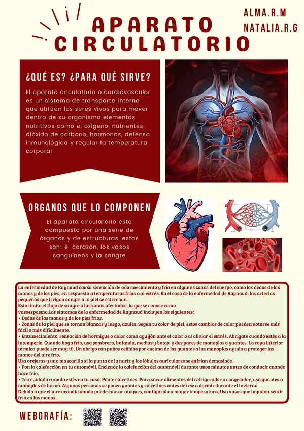 Aparato-circulatorio.pdf
