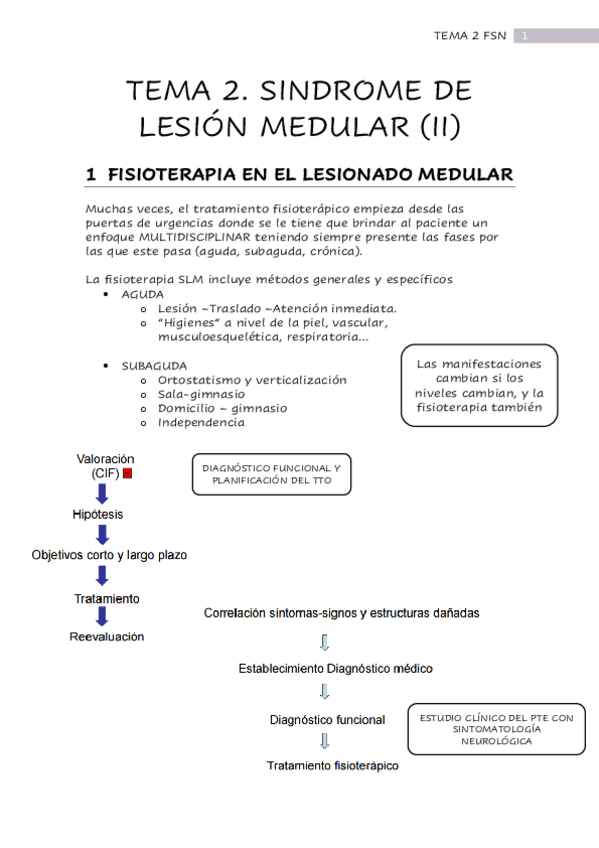 TEMA-2-II-FSN.pdf