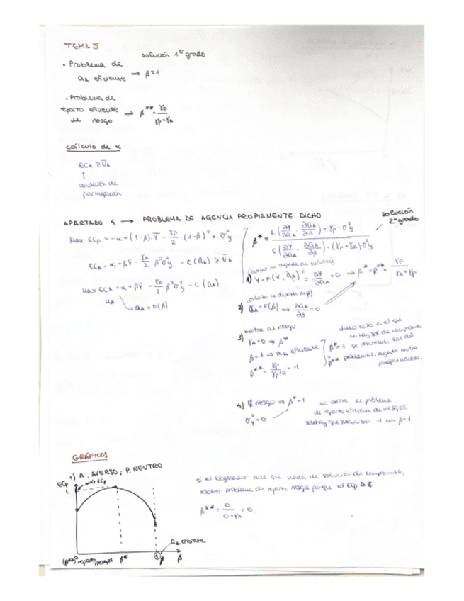 TEMA-5-EJERCICIOS.pdf