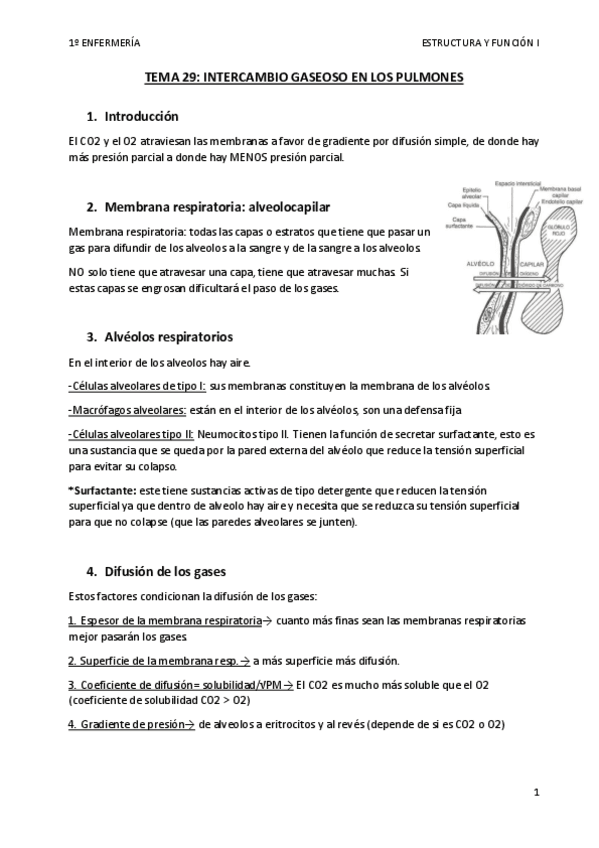 TEMA-29-30-fisio.pdf