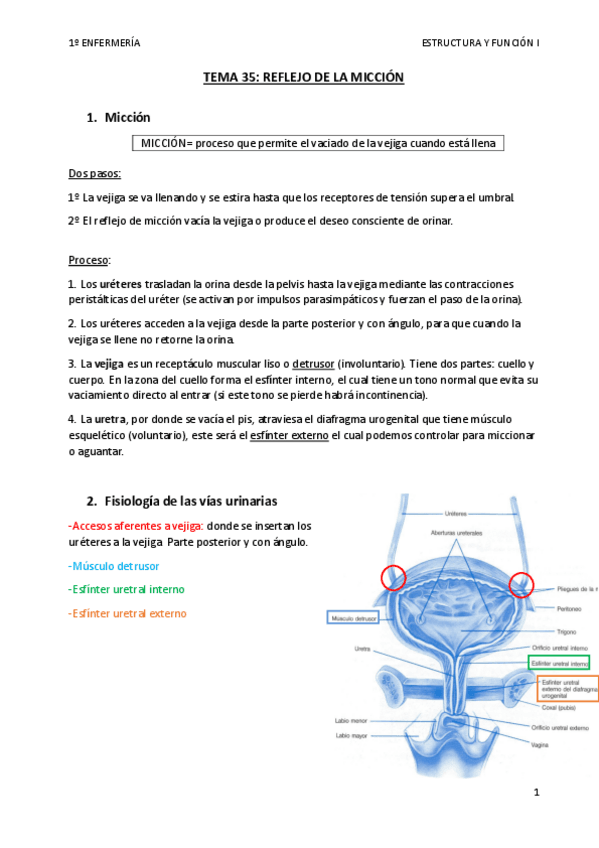 TEMA-35-fisio.pdf