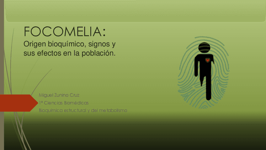 TRABAJO-FOCOMELIA.pdf