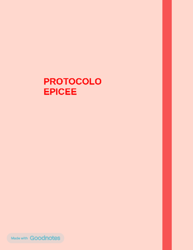 PROTOCOLO-EPICEE.pdf