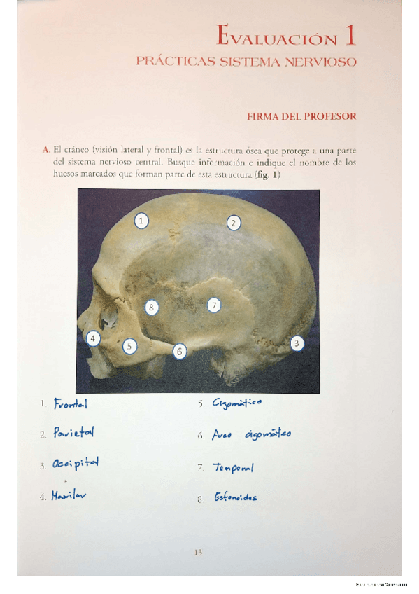 Cuaderno-practicas-anatomia.pdf
