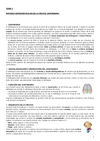 tema 7 diafragma pelvis.pdf