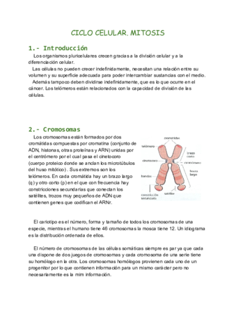 (*)TEMA 8 BIO UNI.pdf