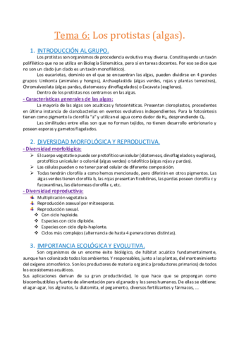 Tema 6. Los protistas (algas)..pdf