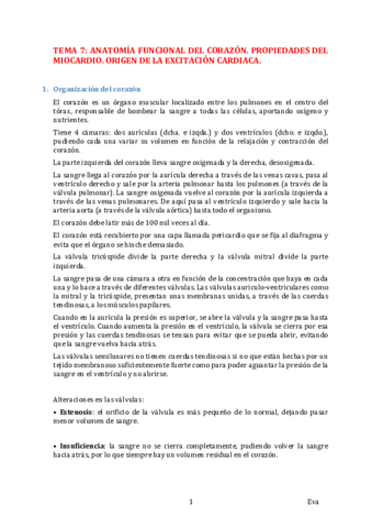 Anatomía funcional corazón. Propiedades miocardio. Origen excitación ...