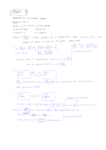 Tema 3-Ejercicios.pdf