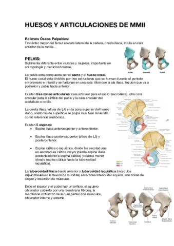 HUESOS Y ARTICULACIONES DE MMII.pdf