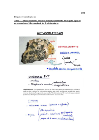 Tema17-Metasomatismo.pdf