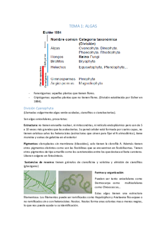 TEMA 1 ALGAS.pdf