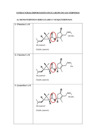 Estructura De Terpenos Pdf