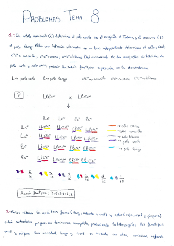 problemas genética tema 8.pdf