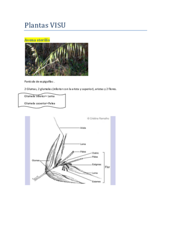 Plantas VISU 2.pdf
