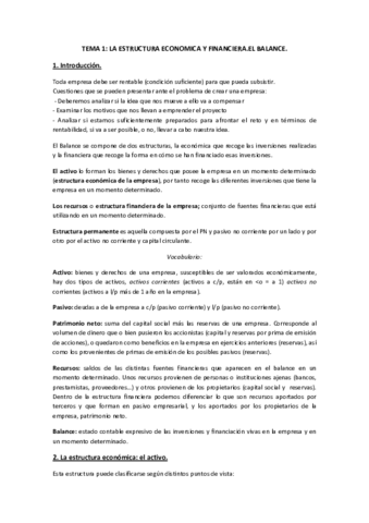 TEMA 1 mi resumen.pdf