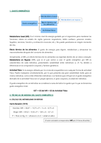 Cálculo GET.pdf