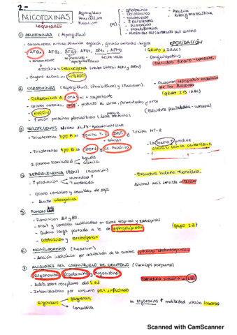 RESUMENES TEMAS MIOS.pdf