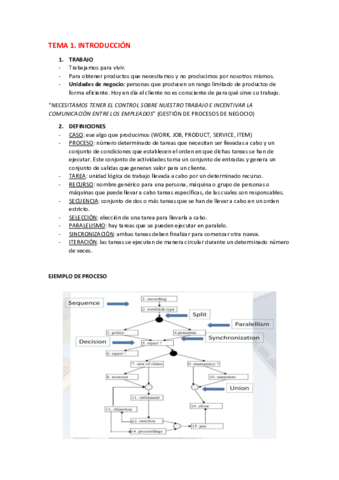 Resumen Tema 1 - Introduccion.pdf